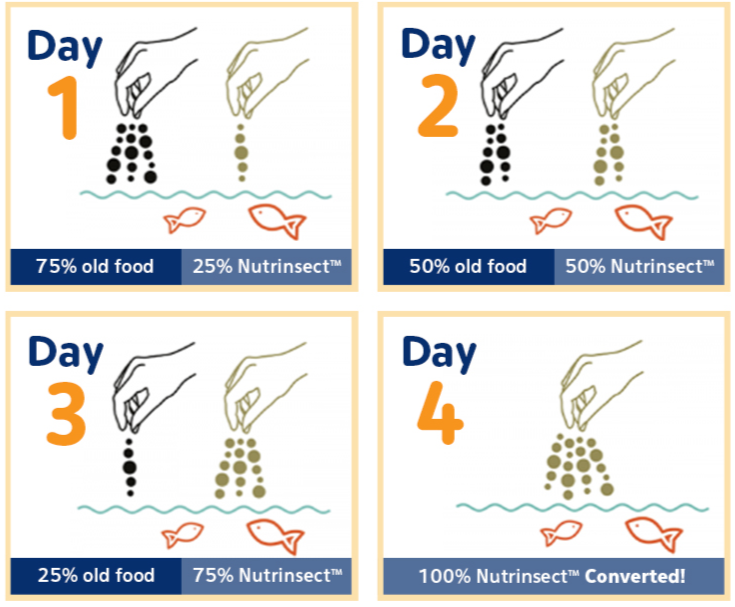 Switching Food Chart