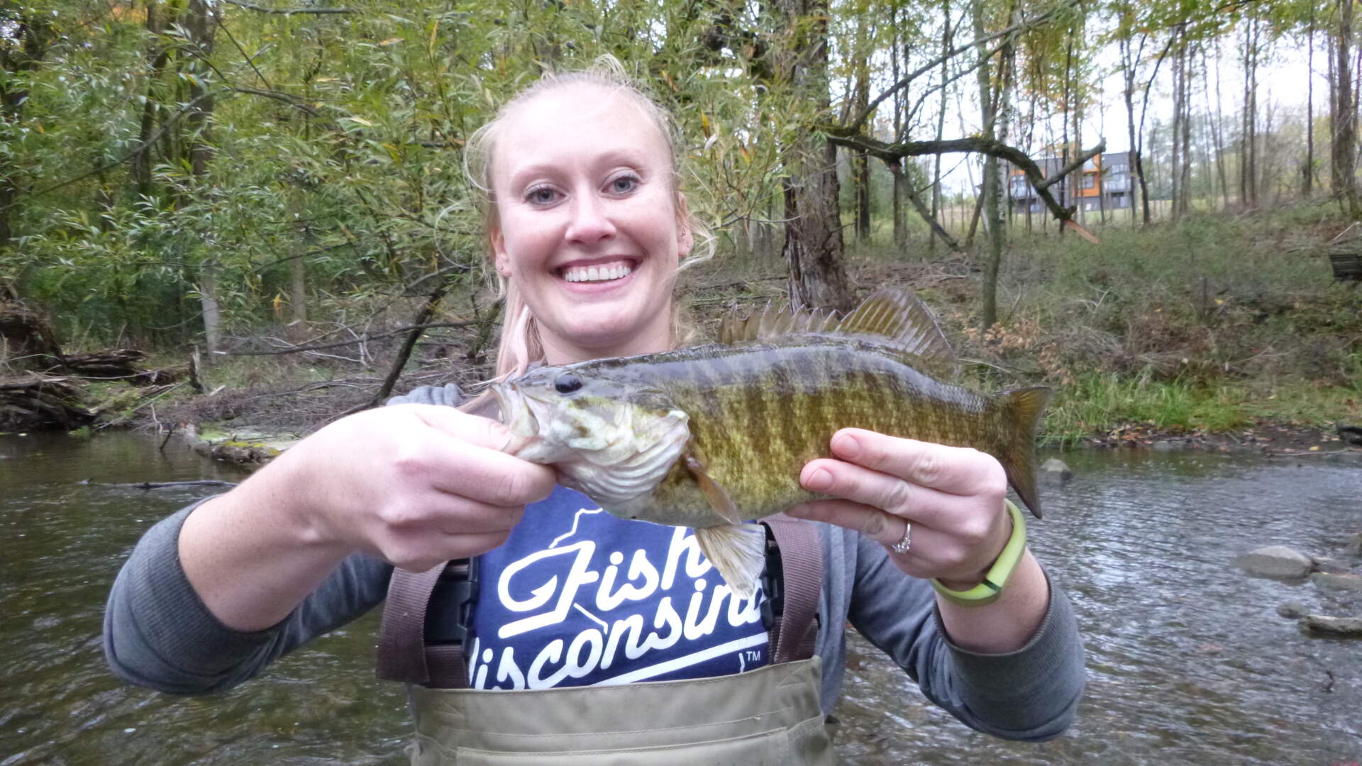 Into the Wild: What Can We Learn About Aquarium Fish from Stream Fish?