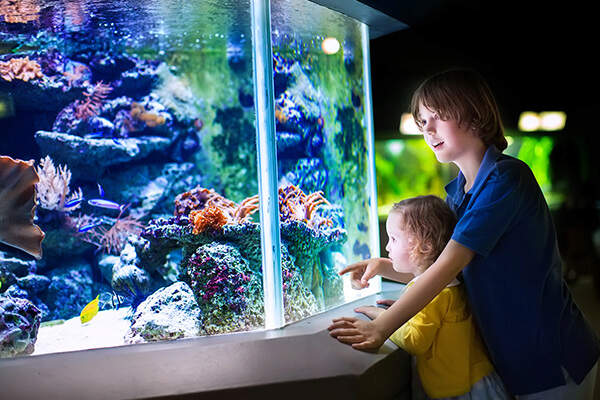 Product Catalog | Aqueon