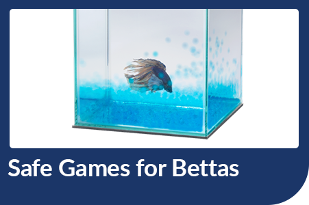 Safe Games For Bettas - a Ball Pit!