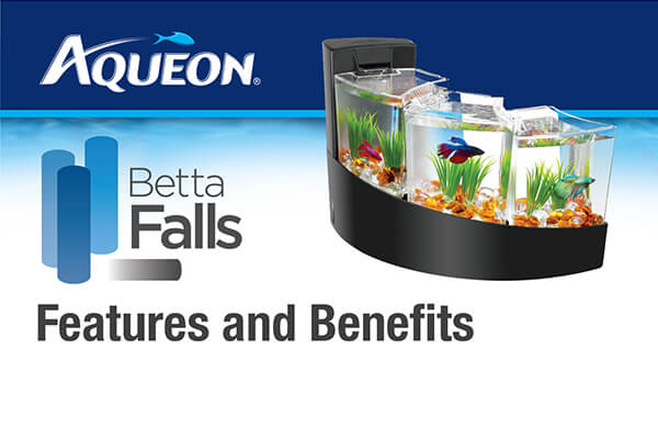 Betta Falls Aquarium: Features & Benefits | Aqueon